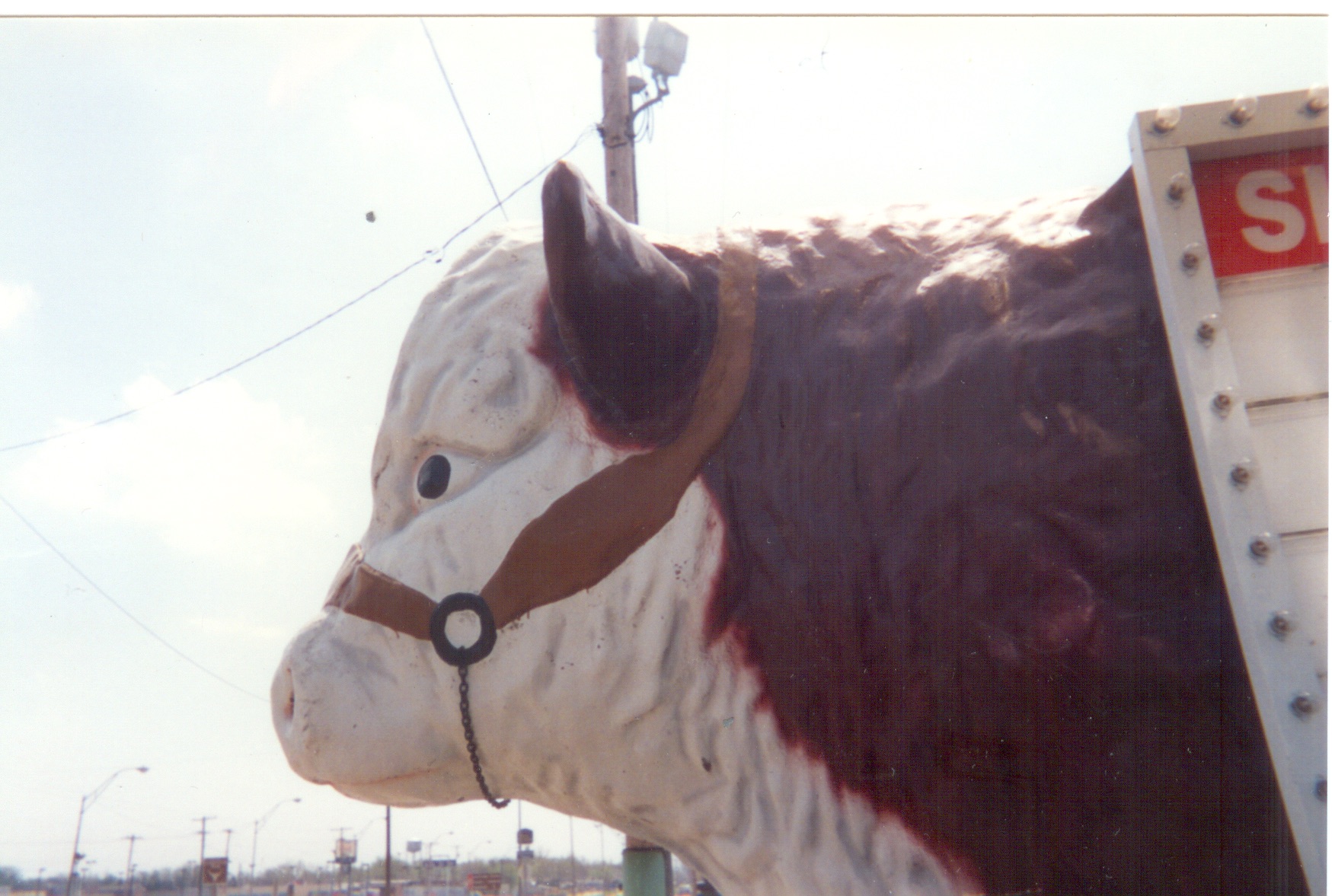 scan0014